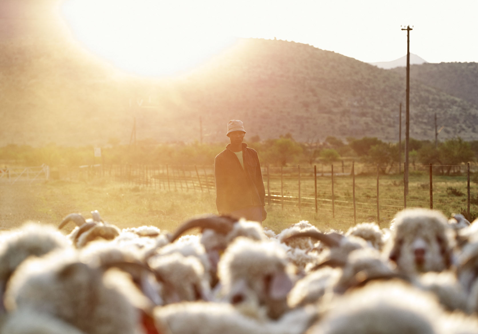 Oliver Martin / Overview