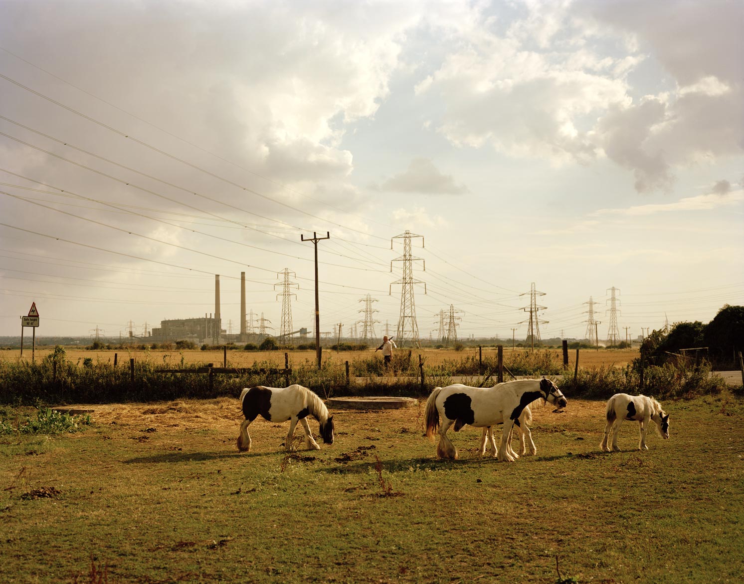 Oliver Martin / Overview