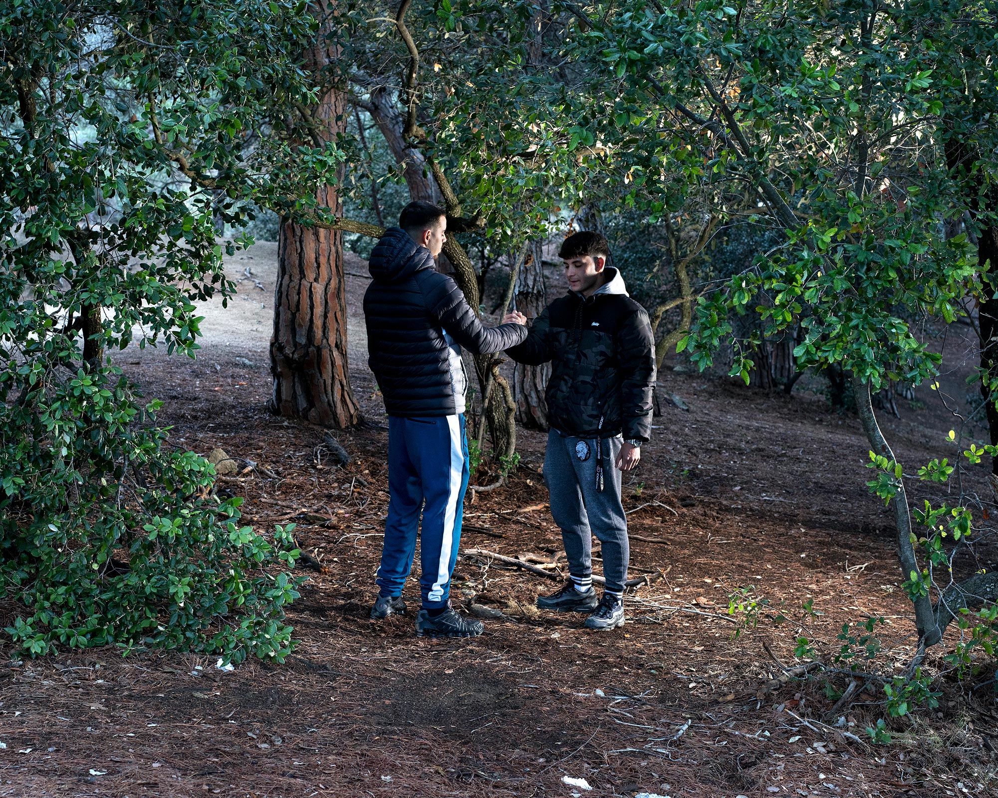 Oliver Martin / Overview