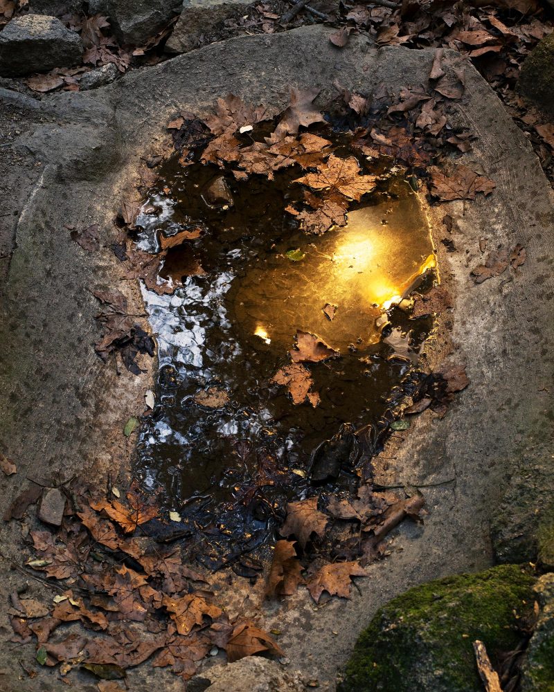 Oliver Martin / Overview