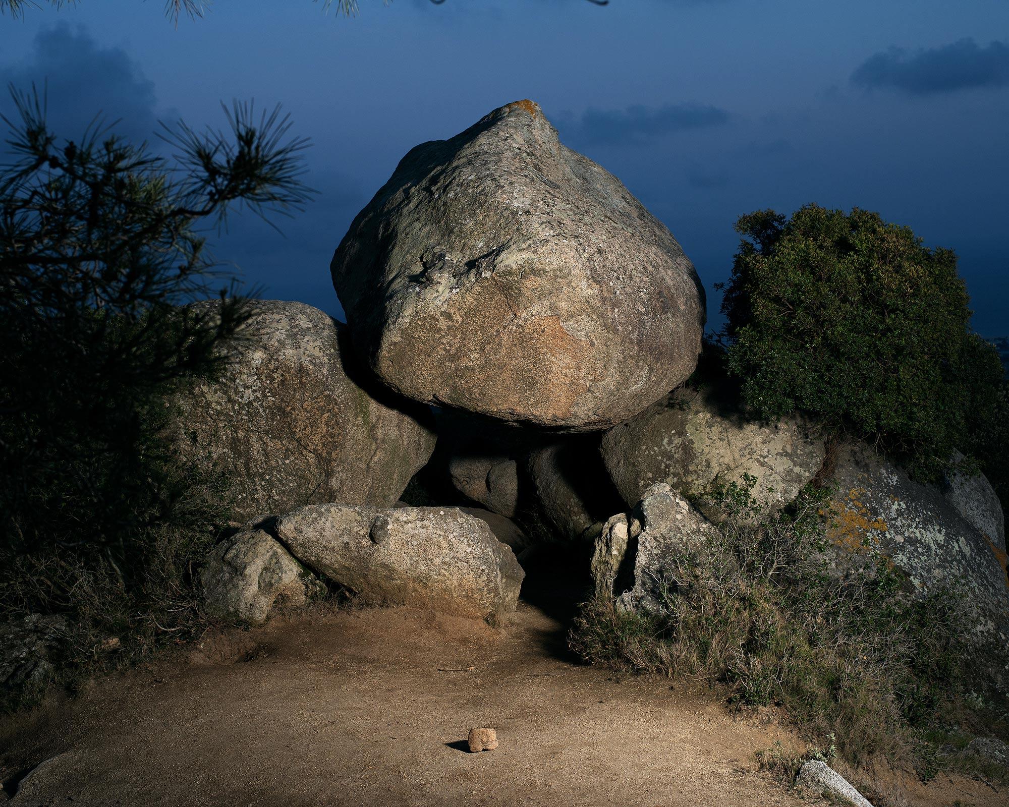 Oliver Martin / Overview