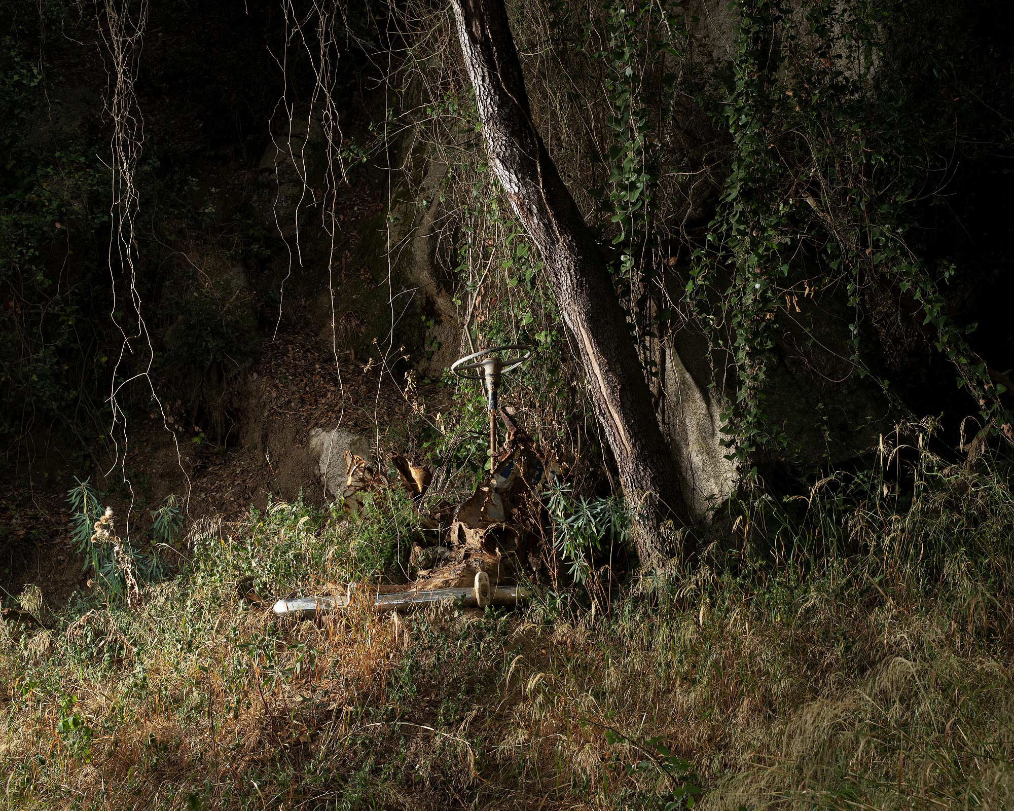 Oliver Martin / Overview