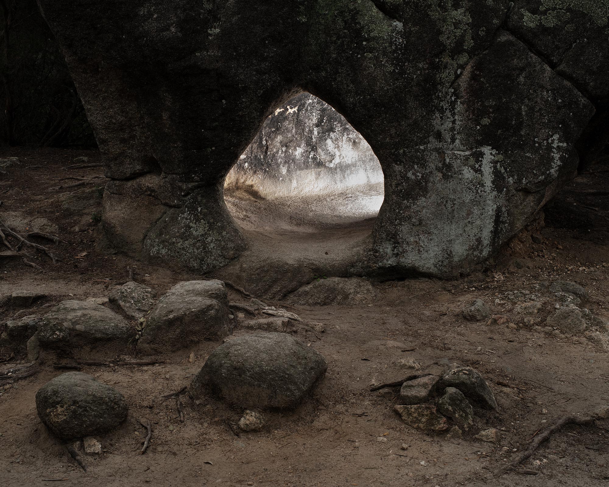 Oliver Martin / Overview