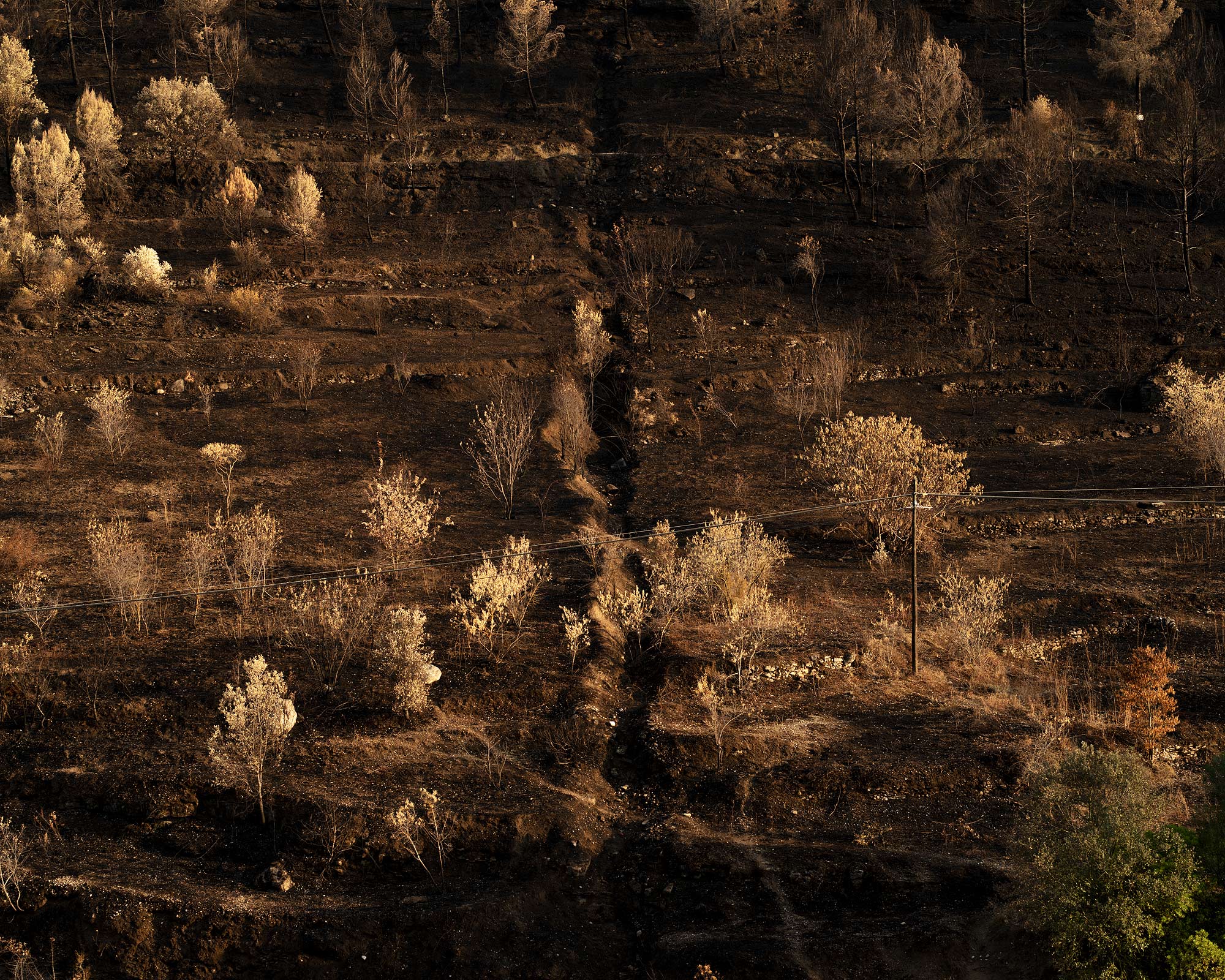 Oliver Martin / Overview