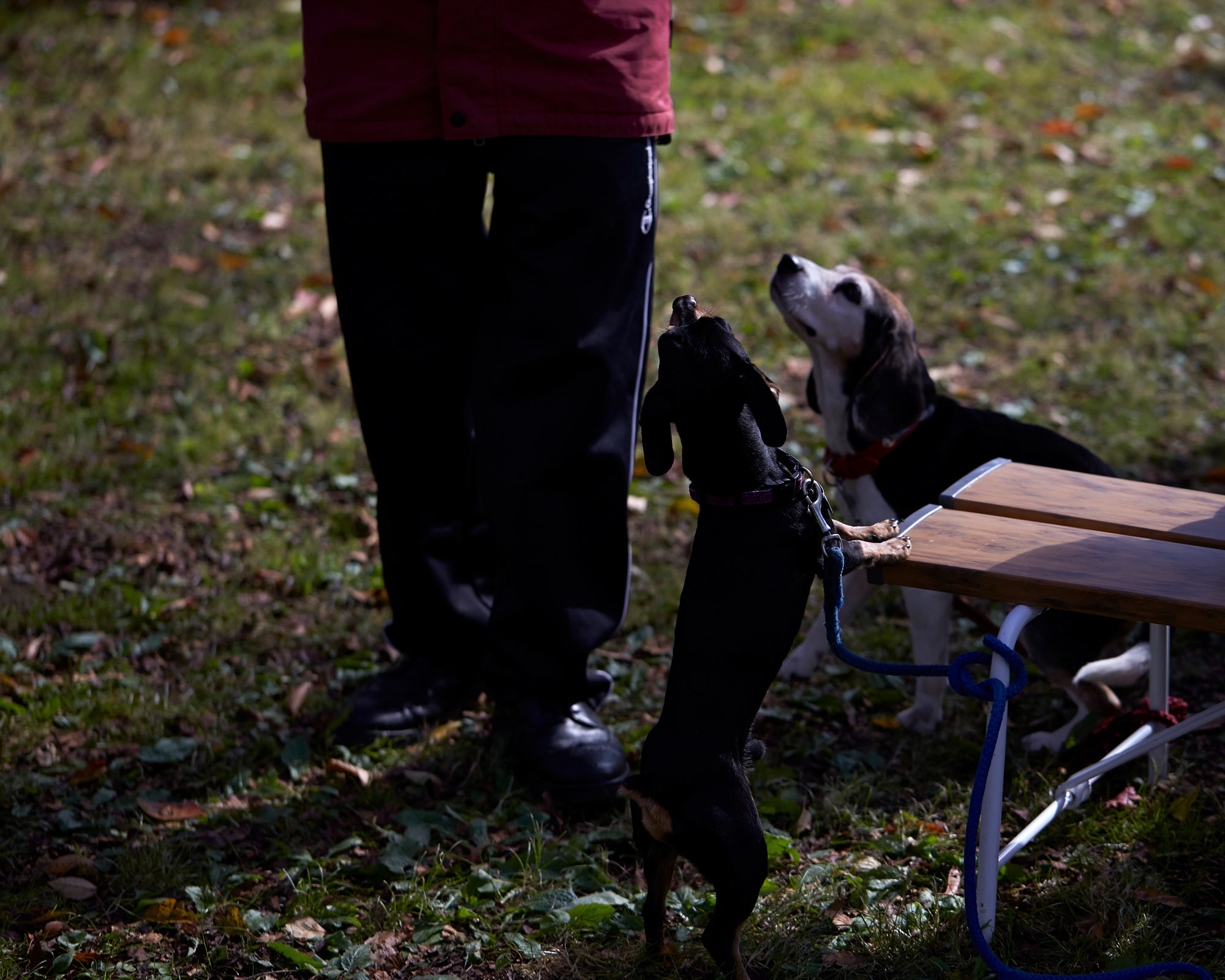 Oliver Martin / Overview