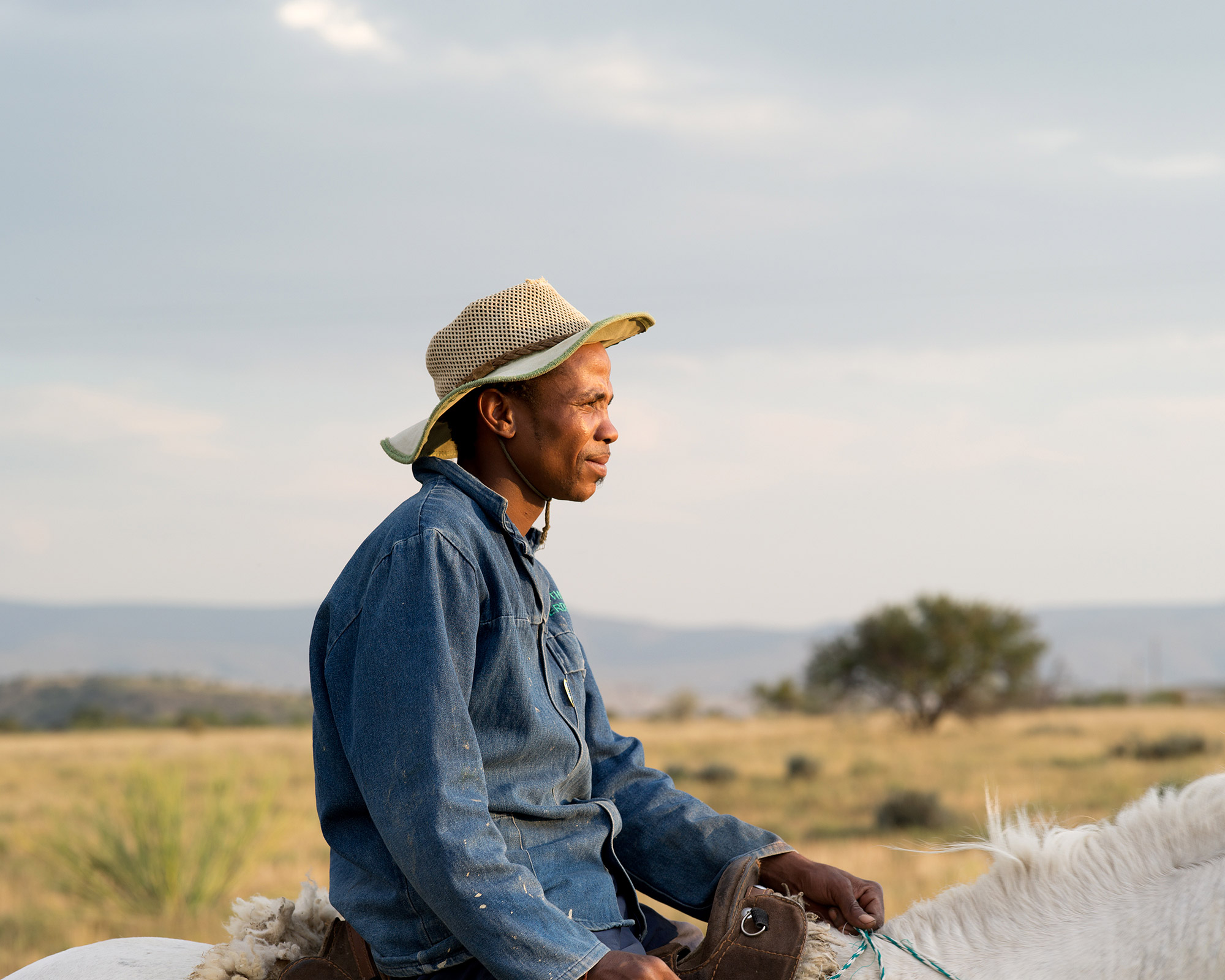 Oliver Martin / Overview